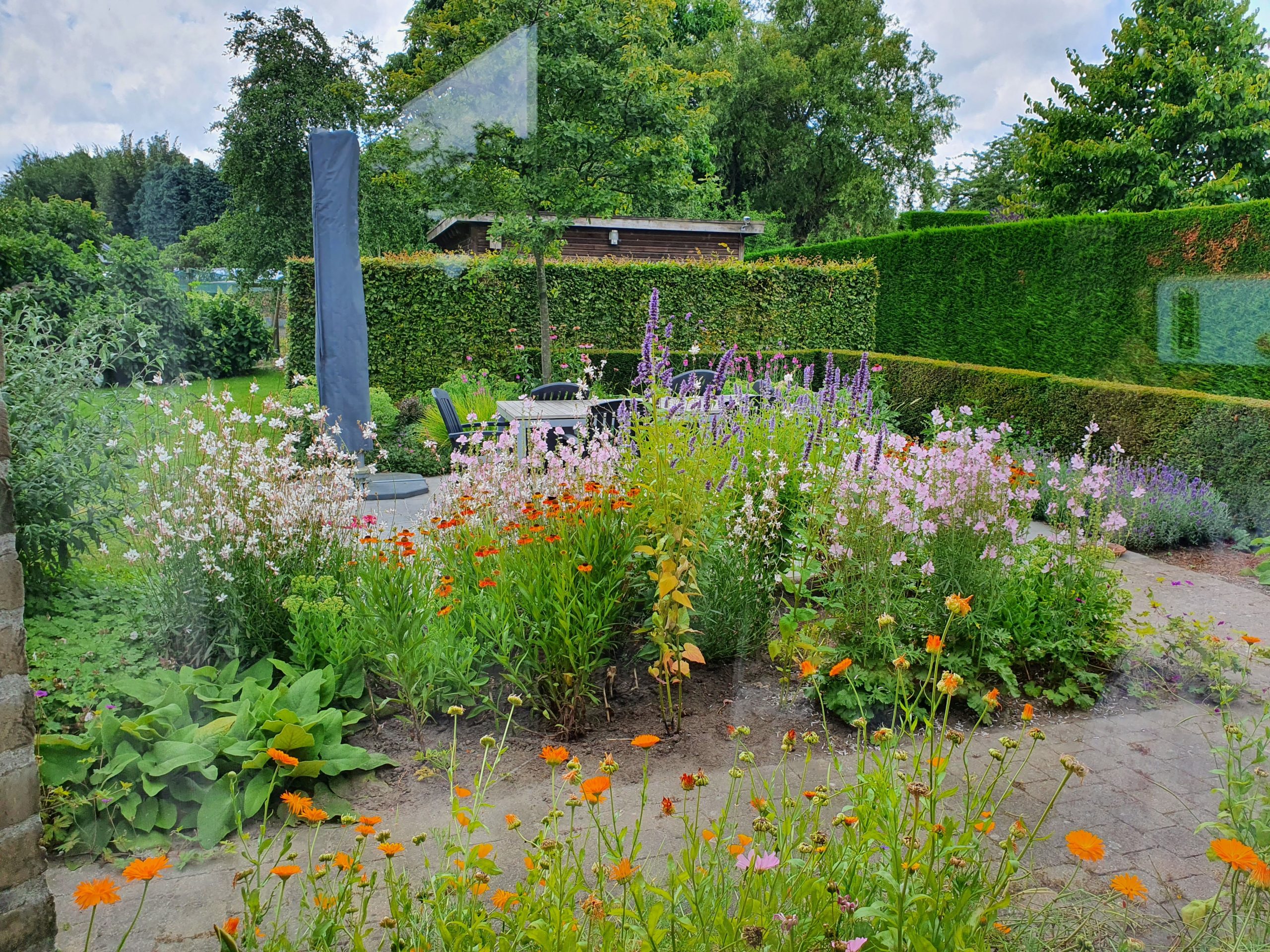 Bee border – boost for biodiversity – Kolibri design