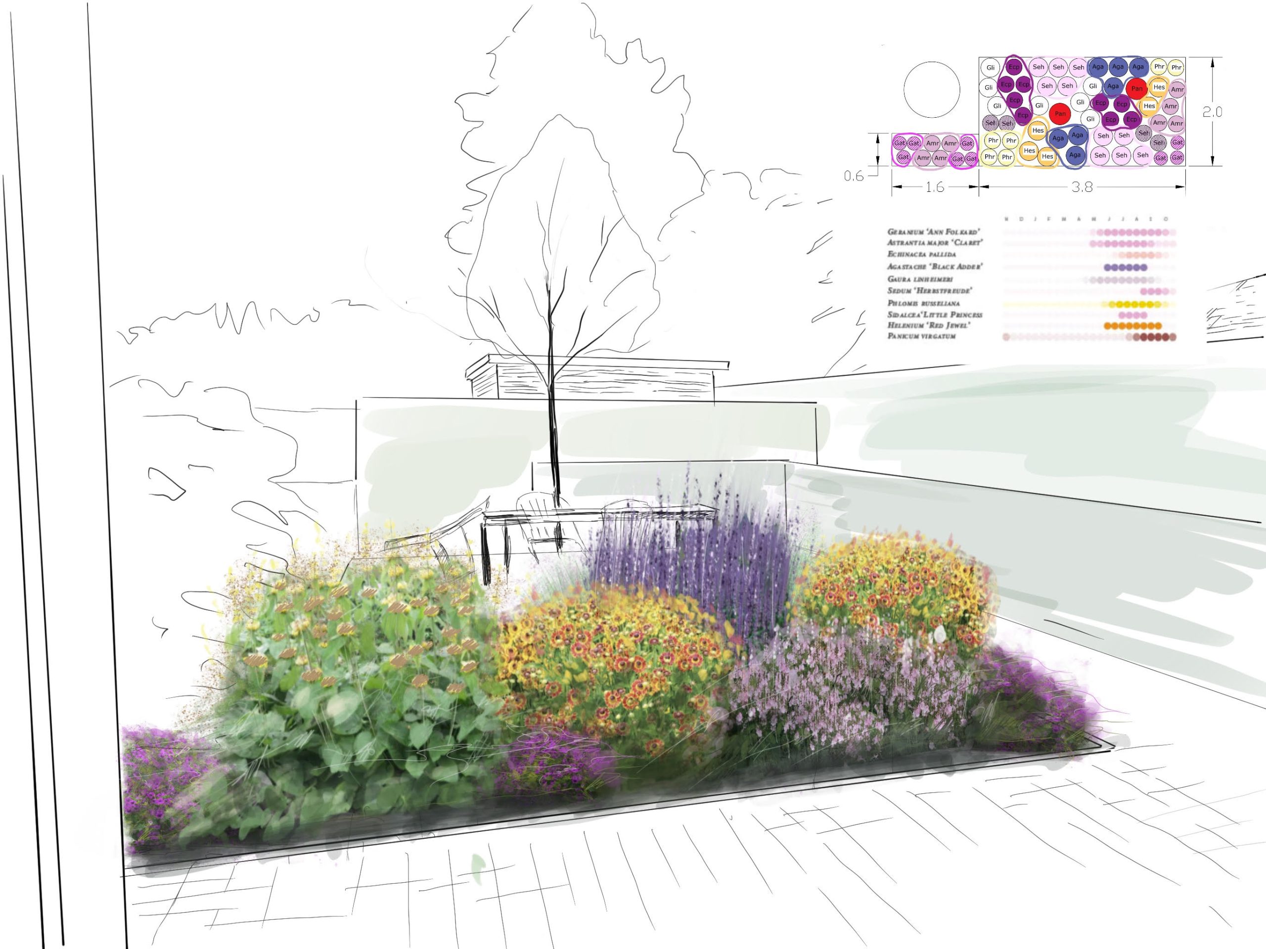 Bee border – boost for biodiversity – Kolibri design